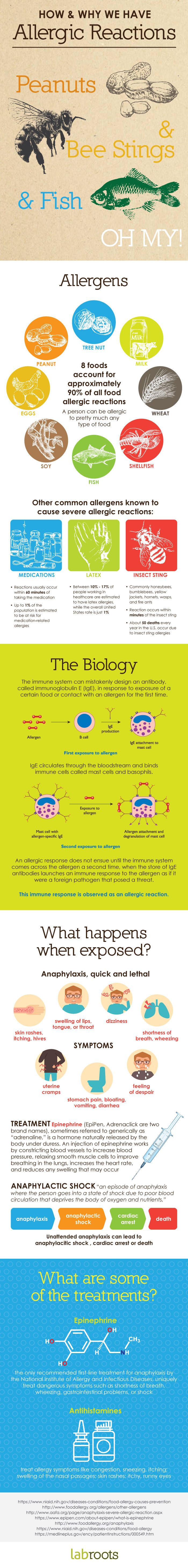 How and Why We Have Allergic Reactions | Infographics