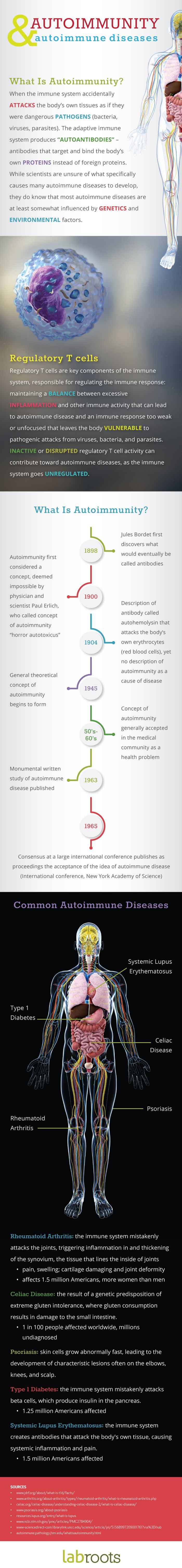 Autoimmunity and Autoimmune Diseases | Infographics