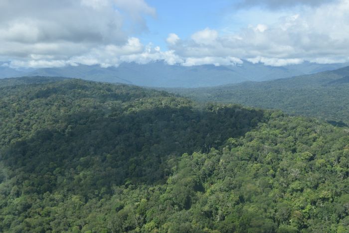 Papua New Guinea establishes largest conservation area yet | Earth And ...