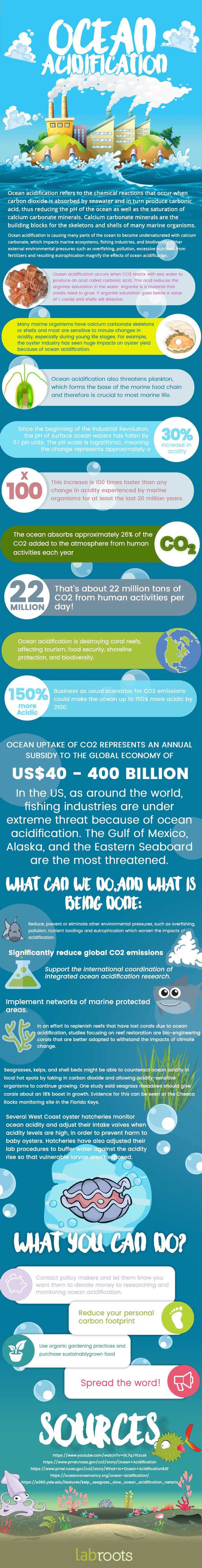 Ocean Acidification | Infographics