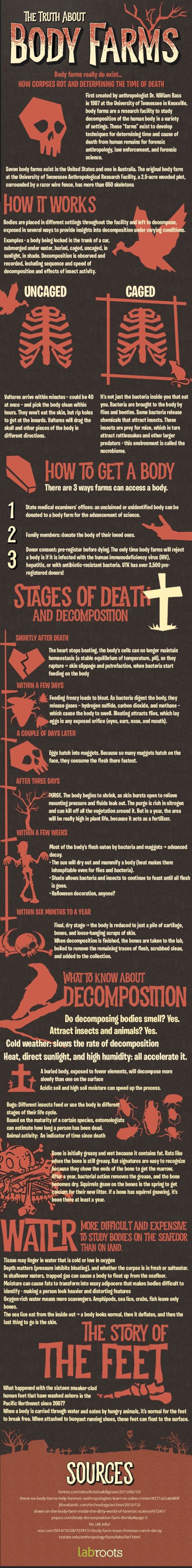 The Truth About Body Farms | Infographics