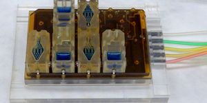 Immune Stem Cells Treat the Most Common Type of Liver Cancer | Immunology